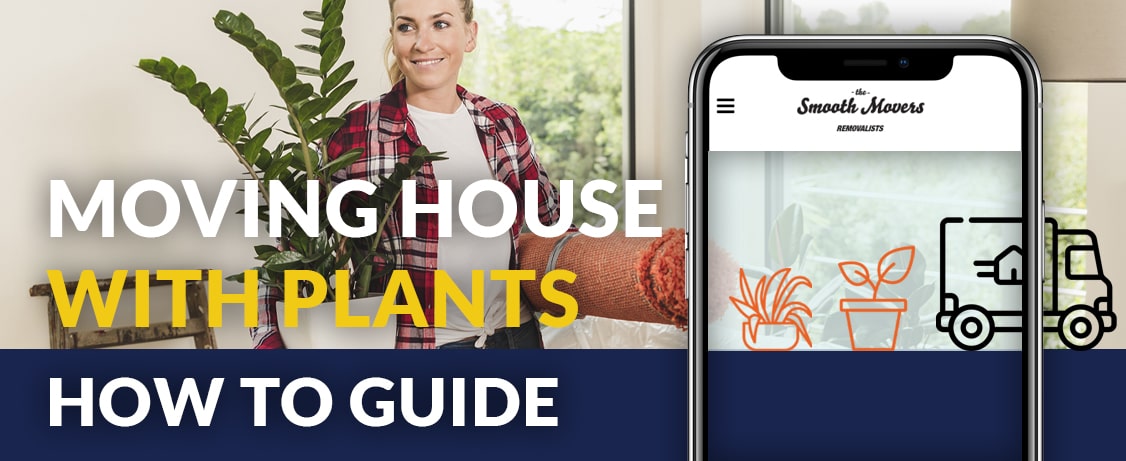 Moving House With Plants: Definitive Guide | Smooth Movers