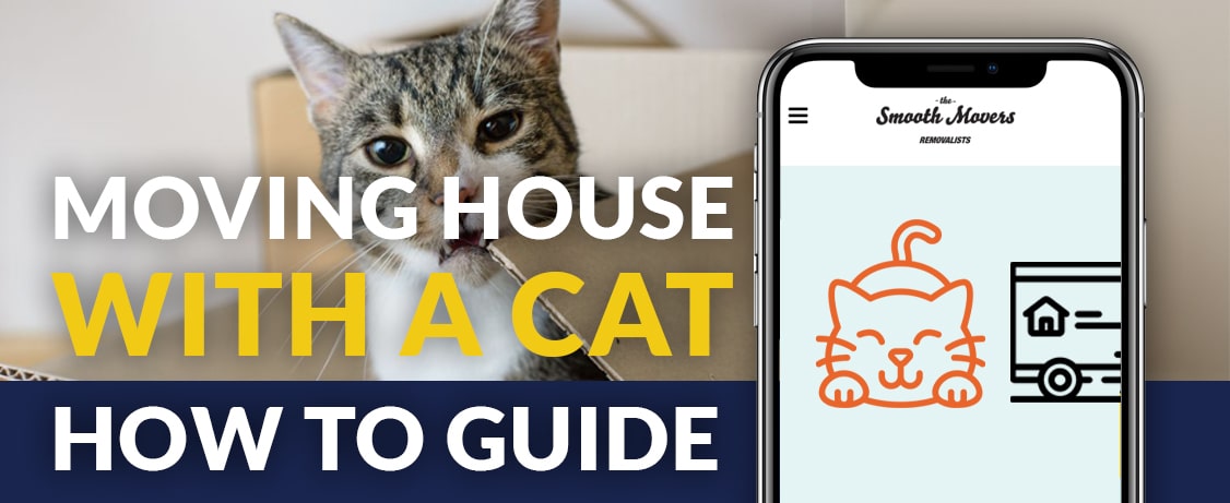 Moving House With a Cat: Your Ultimate Guide For a Smooth Move